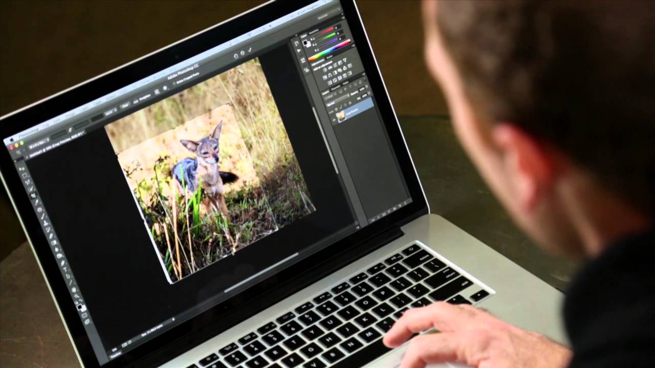 How To Create An Animated GIF In Photoshop
