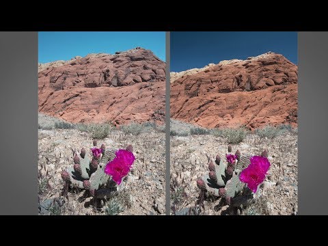 How To Best Shoot Under A Mid-Day Sun